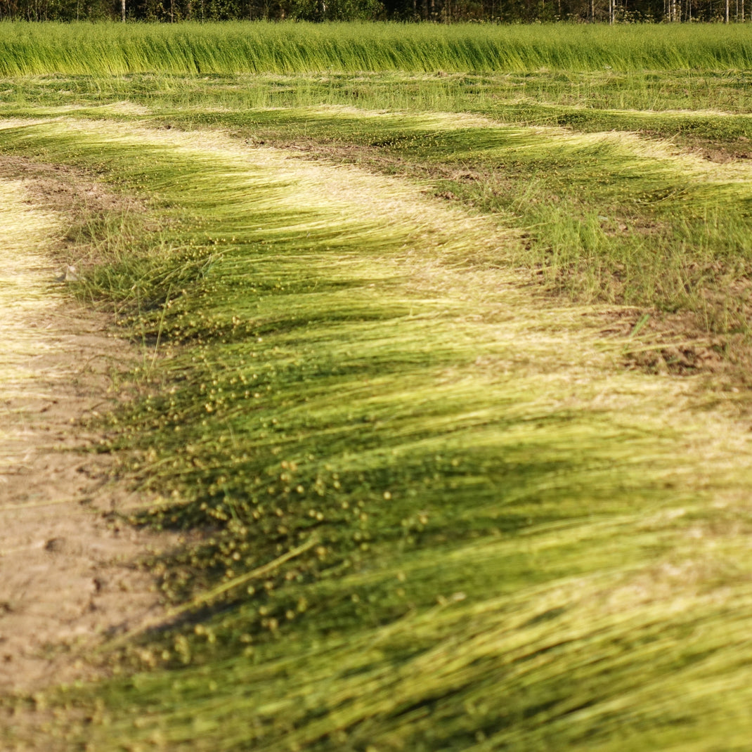 About Linen. What Linen is Made of | MagicLinen