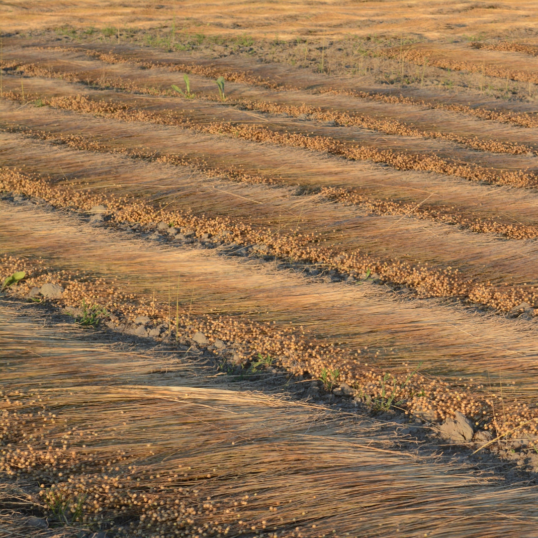 About Linen. What Linen is Made of | MagicLinen